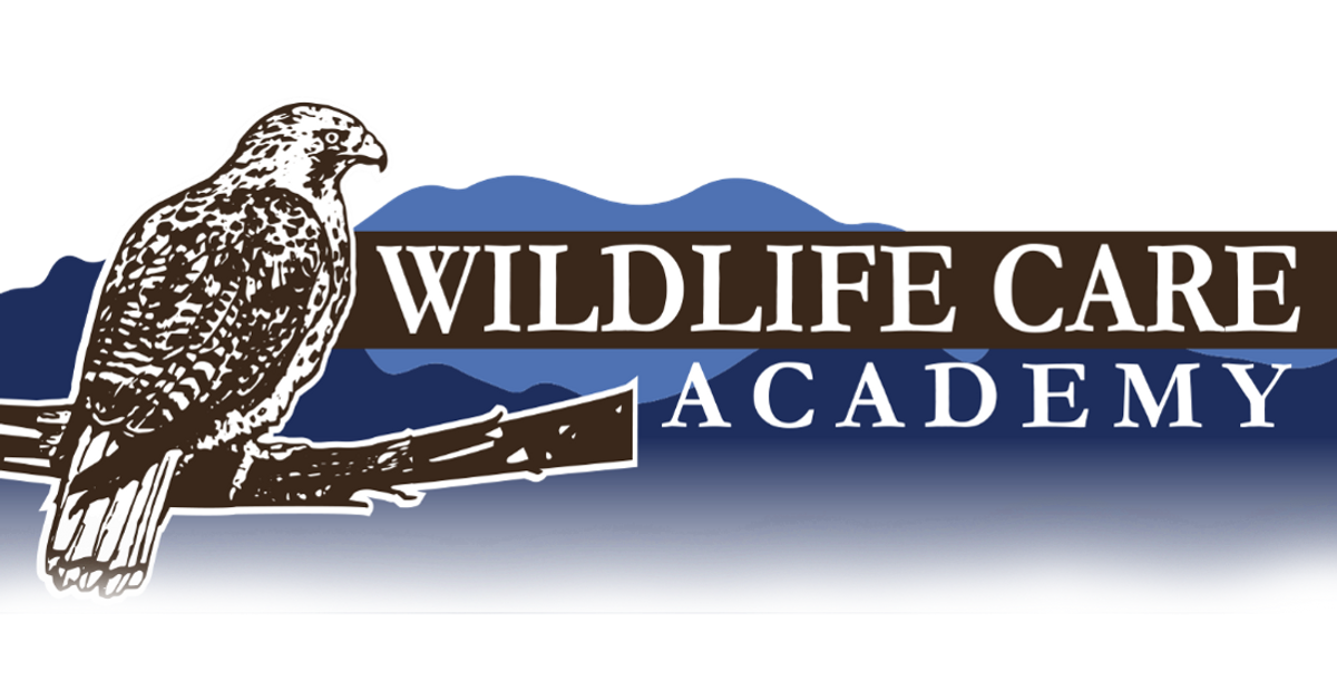 Getting Started in Wildlife Rehabilitation – Wildlife Care Academy